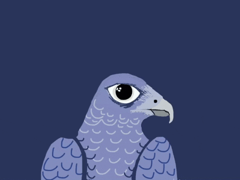 Flying Fly Away GIF by Barbara Pozzi - Find & Share on GIPHY