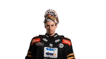 HCP 2022 GIFs on GIPHY - Be Animated