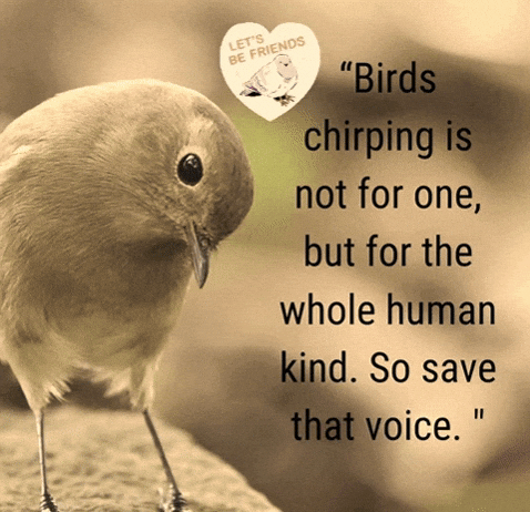 Lets-be-friends GIFs - Get the best GIF on GIPHY