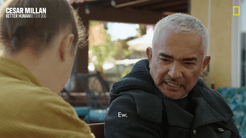 Cesar Millan GIF by National Geographic Channel - Find & Share on GIPHY