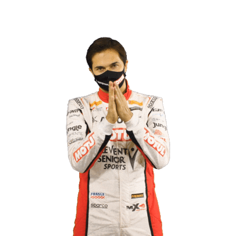 Nelson Piquet Jr GIFs on GIPHY - Be Animated