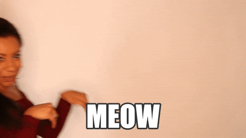 Meow GIFs - Get the best GIF on GIPHY