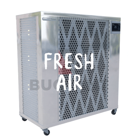Air Purifier GIF by buoyantfilterslocalph - Find & Share on GIPHY