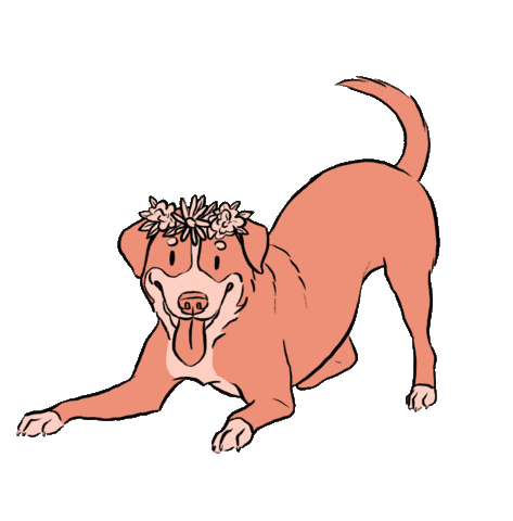Wolfpack_au GIFs on GIPHY - Be Animated