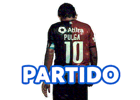 Copa América GIFs on GIPHY - Be Animated