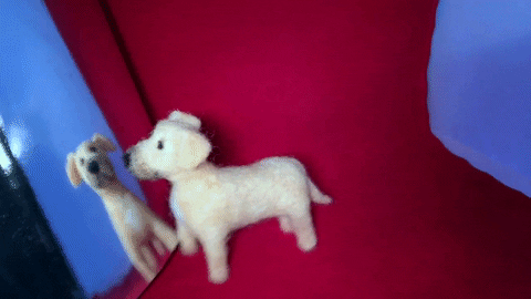 In Love With Reflection GIFs - Get the best GIF on GIPHY