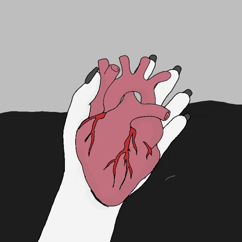 Heart GIF - Find & Share on GIPHY