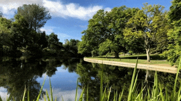 Virtual Backgrounds for Video Conferencing (Zoom) GIFs on GIPHY - Be ...