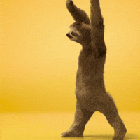 Deal With It Sloth Gif