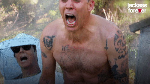 The HILARIOUS new trailer for JACKASS FOREVER is here! by Jackass ...