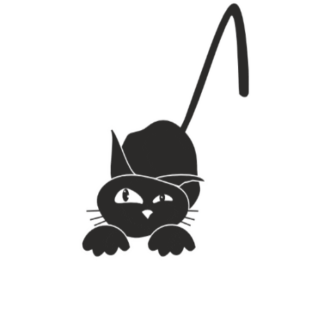 Cat Sticker for iOS & Android | GIPHY