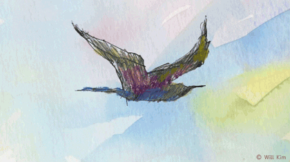 Bird Loop GIFs - Get the best GIF on GIPHY