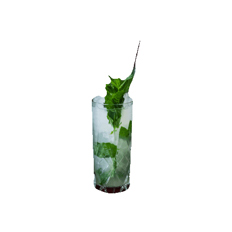 BA Cocktail Gifs GIFs on GIPHY - Be Animated