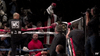 Funny Gifs Celebrity Fights