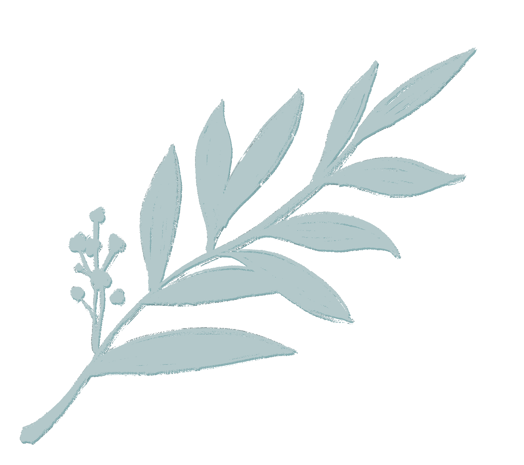 Branch Sticker for iOS & Android | GIPHY