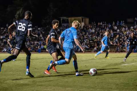 BJU Bruins GIFs on GIPHY - Be Animated