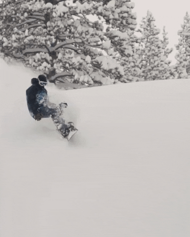 Nidecker Snowboards GIF - Find & Share on GIPHY