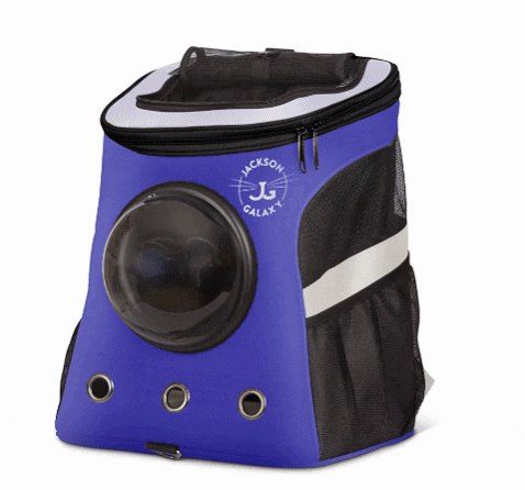 Cat Pack GIFs - Get the best GIF on GIPHY