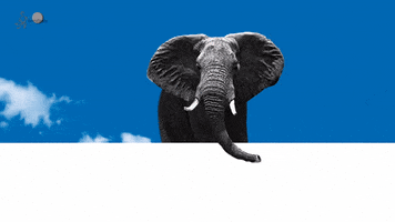 Care For Environment GIFs - Find & Share on GIPHY