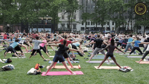 Doing Yoga GIFs - Get the best GIF on GIPHY