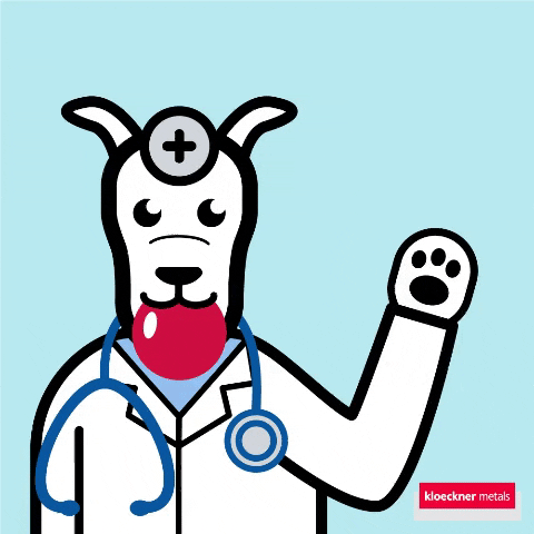 Doctor Dog GIFs - Get the best GIF on GIPHY