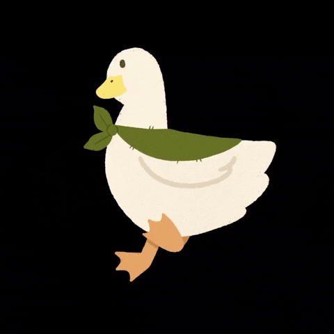 Duck Waddle GIF - Find & Share on GIPHY