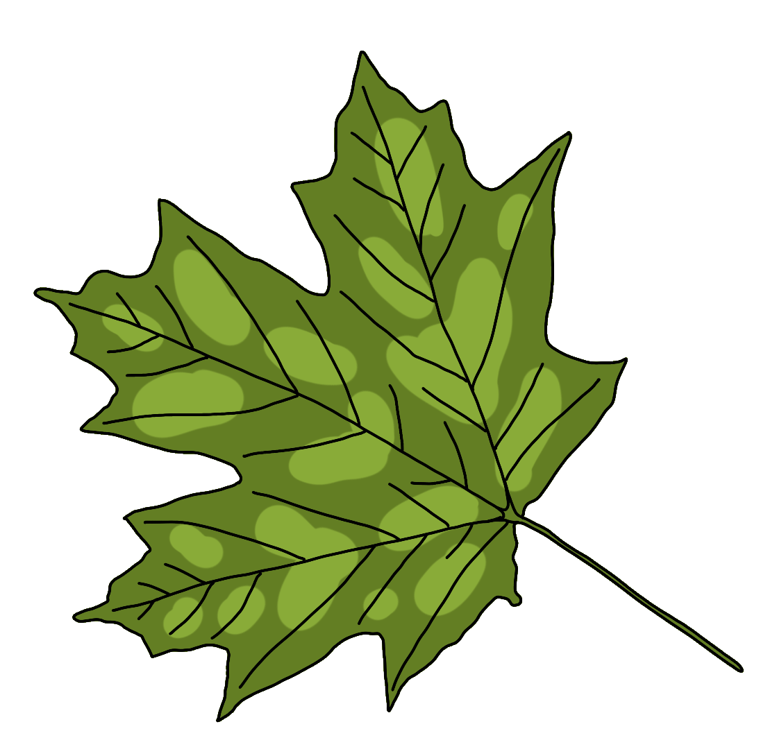 Maple Leaf Fall Sticker for iOS & Android | GIPHY