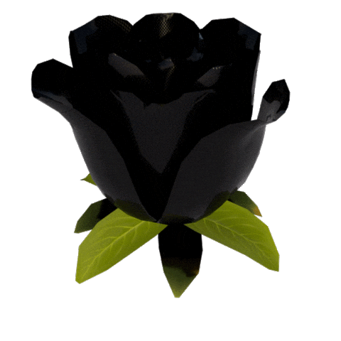 Black Rose Reaction Sticker by Sabato Visconti for iOS & Android | GIPHY