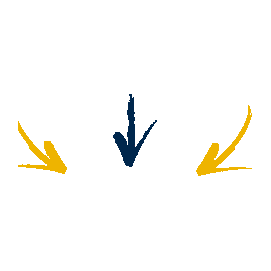 Seta Sticker by UniMAX for iOS & Android | GIPHY