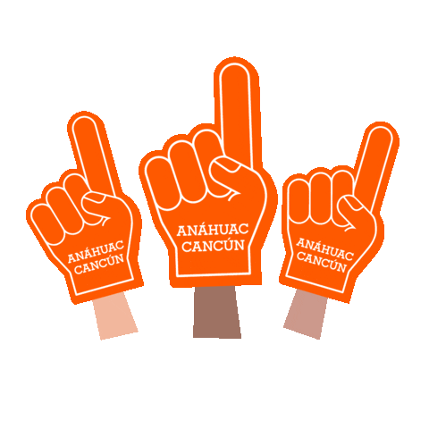 Anáhuac Cancún GIFs on GIPHY - Be Animated