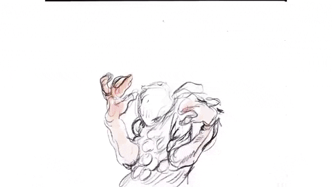 Standardized Dimensions GIFs - Get the best GIF on GIPHY