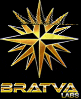 BRATVA LABS ® GIF - Find & Share on GIPHY
