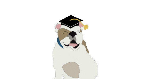 Georgetown University GIFs on GIPHY - Be Animated