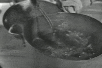 Decanter GIFs - Get the best GIF on GIPHY