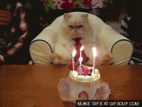 Cat Birthday Gifs