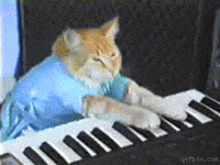 Keyboard Smash Gif