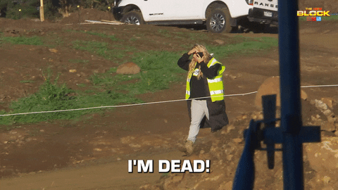 Channel 9 Omg GIF by The Block - Find & Share on GIPHY