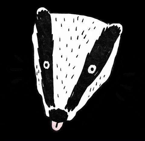 Wild Animal Badger GIF by Sophy Nixon - Find & Share on GIPHY