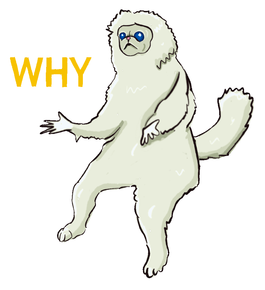 Persian Cat Meme Sticker for iOS & Android | GIPHY