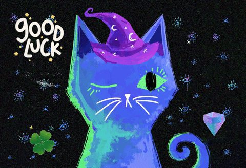 Cat Witch Hat GIFs - Get the best GIF on GIPHY