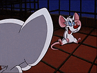 Pinky And The Brain Take Over The World Gif