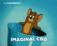 Heart Beating Fast Gif