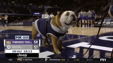 Pepperdine-mascot GIFs - Get the best GIF on GIPHY