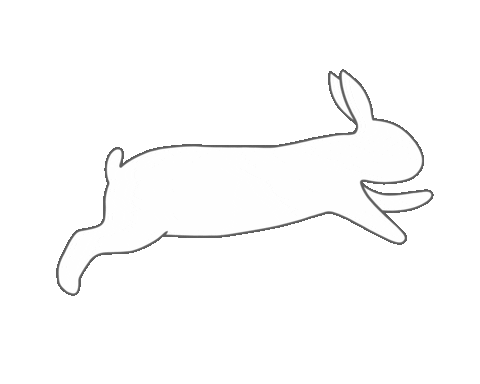 Rabbit Jumping Gif