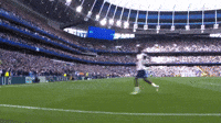 Tottenham Hotspur GIFs on GIPHY - Be Animated