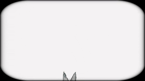 Flying Fly Away GIF by Barbara Pozzi - Find & Share on GIPHY