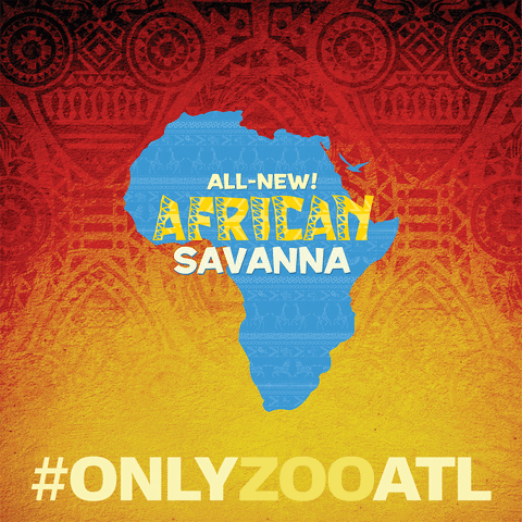 African Savanna GIFs - Get the best GIF on GIPHY