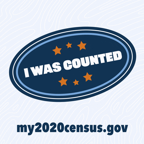 2020 Census GIFs - Find & Share on GIPHY