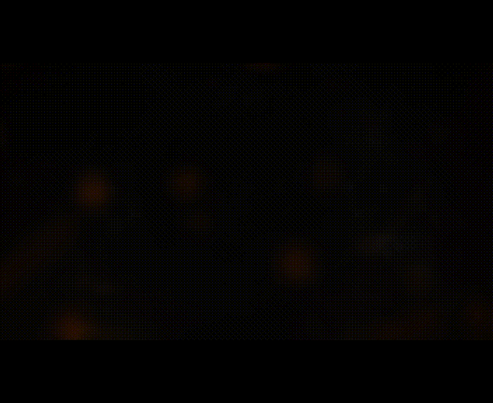 New Haven Fire GIF by District Dave - Find & Share on GIPHY