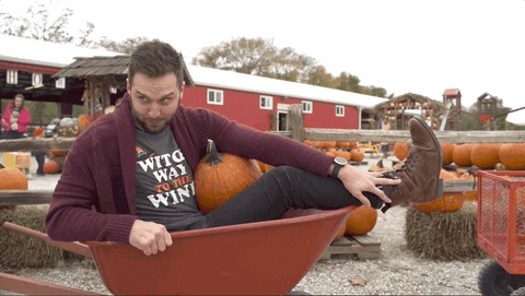 White Girl Fall GIF by Trey Kennedy - Find & Share on GIPHY